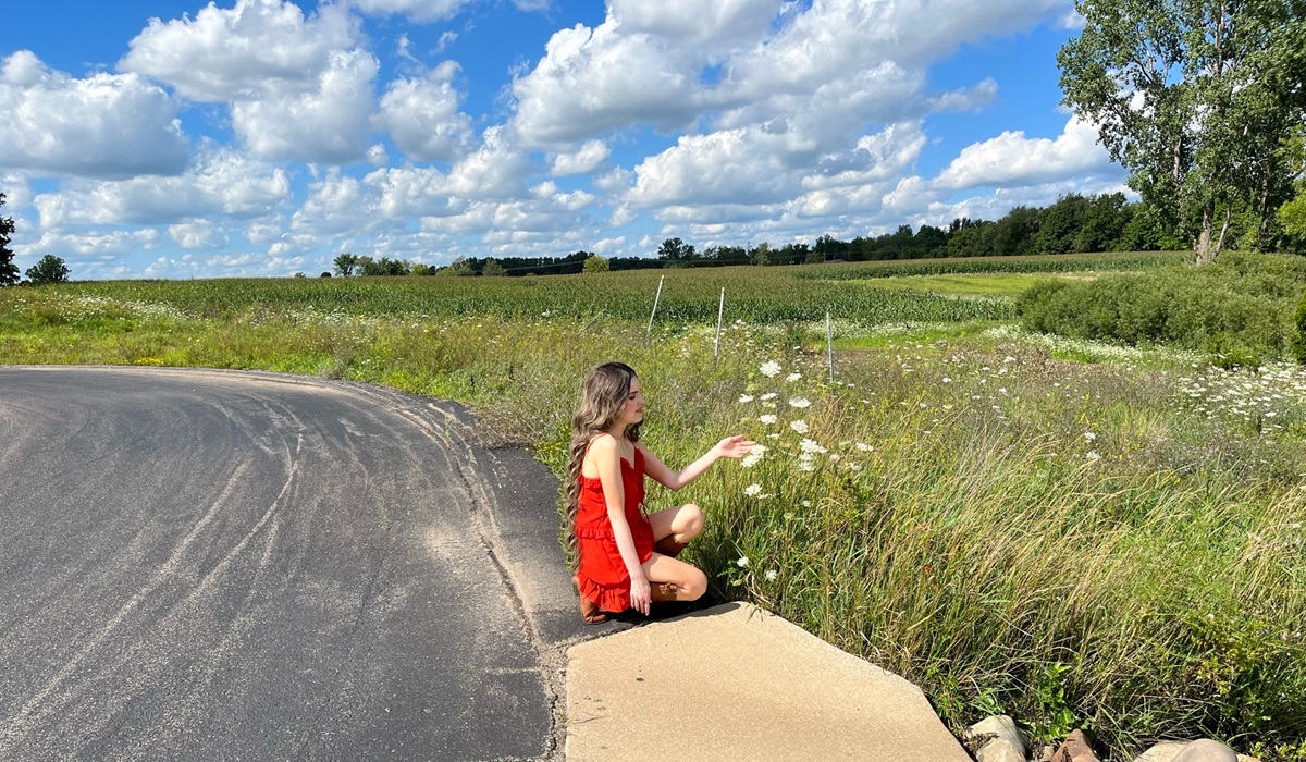 Hardiest Perennials for Vibrant Colors Every Year